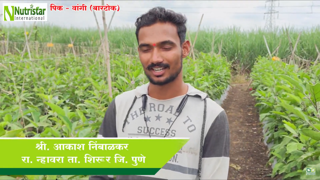 Mr. Akash Nimbalkar - Dhanashree Agro