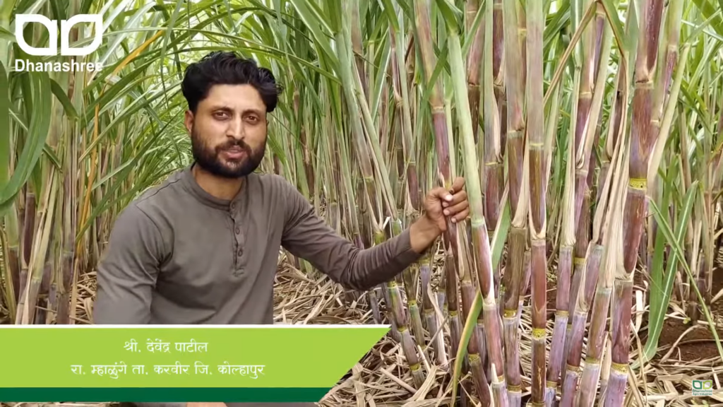 Mr. Devendra Patil - Dhanashree Agro