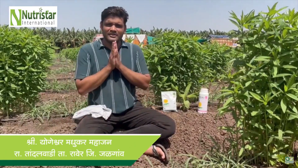 Mr. Yogeshwar Mahajan - Dhanashree Agro