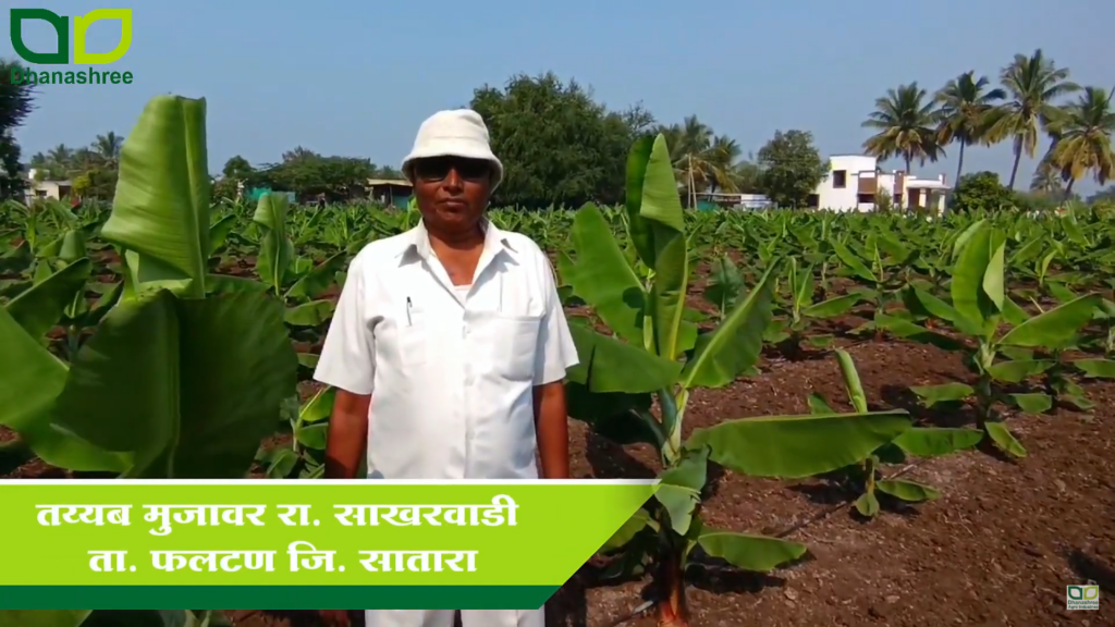 Mr. Tayyab Mujawar - Dhanashree Agro