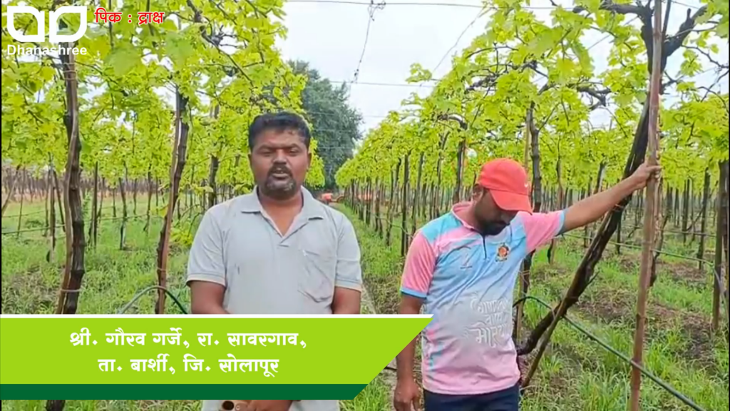 Mr. Gaurav Garje - Dhanashree Agro