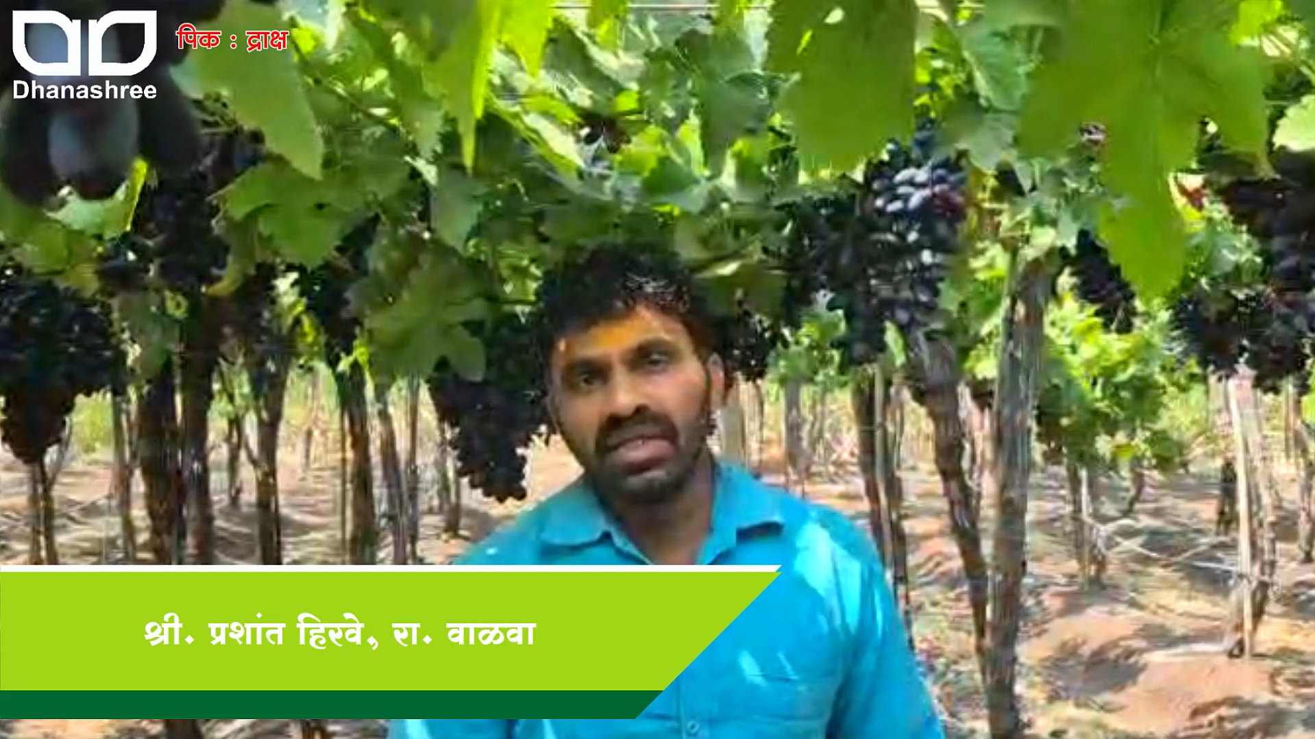 Mr. Prashant Hiware - Dhanashree Agro